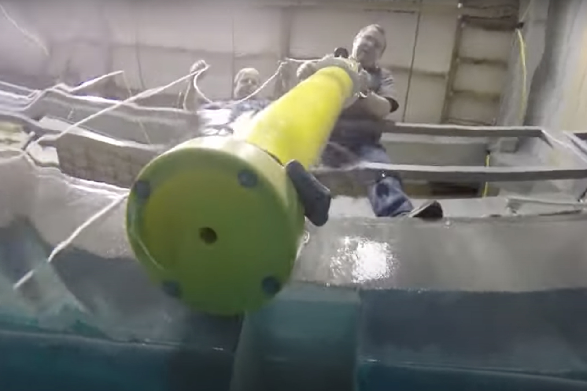 Adopt-a-Float | GO-BGC