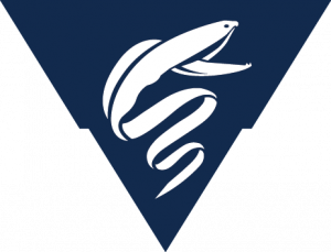 Access and Visualization | GO-BGC