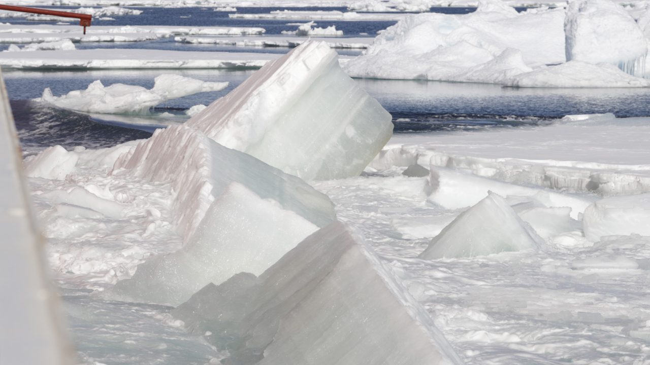 Sea Ice | GO-BGC