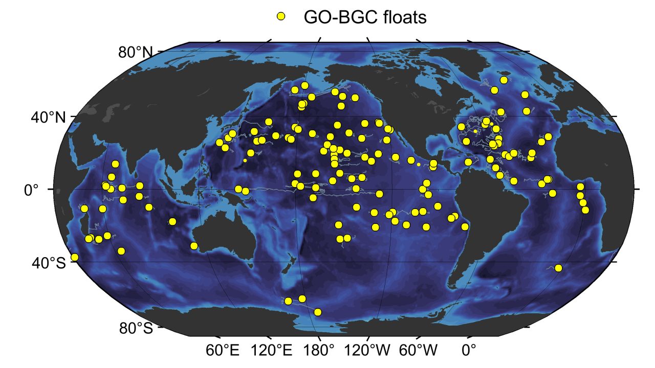 Alphabet Soup | GO-BGC