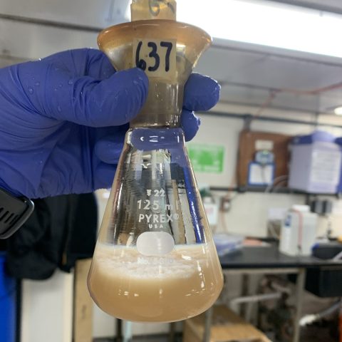 Elisa – Dissolved Oxygen | GO-BGC