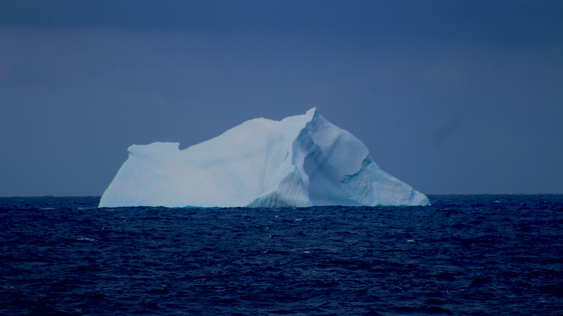 2024 GO-SHIP A13.5 | GO-BGC