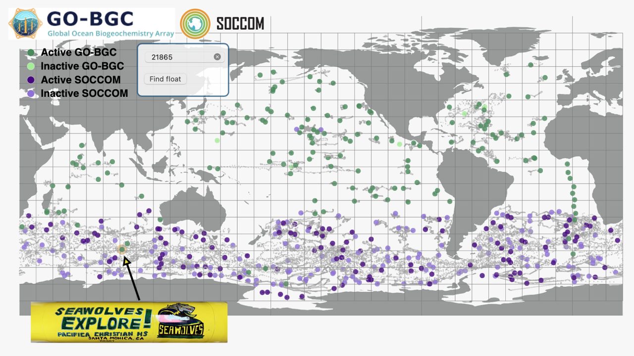 Seawolves Explore | GO-BGC