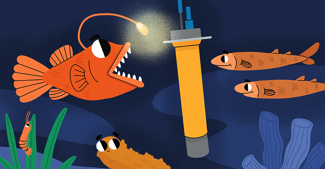 How are Scientists Keeping an Eye on Earth’s Oceans? | GO-BGC